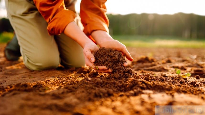 Análise biológica do solo impulsiona produtividade e sustentabilidade ...